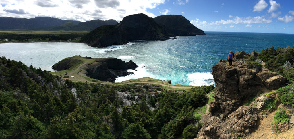 Bottle Cove – IMG_8264es | Cabox